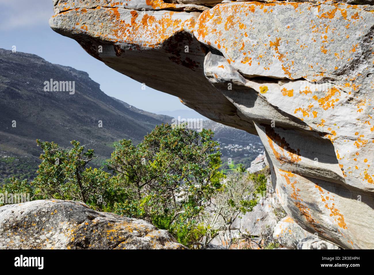 Rugged mountain landscape with fynbos flora in Cape Town Stock Photo ...