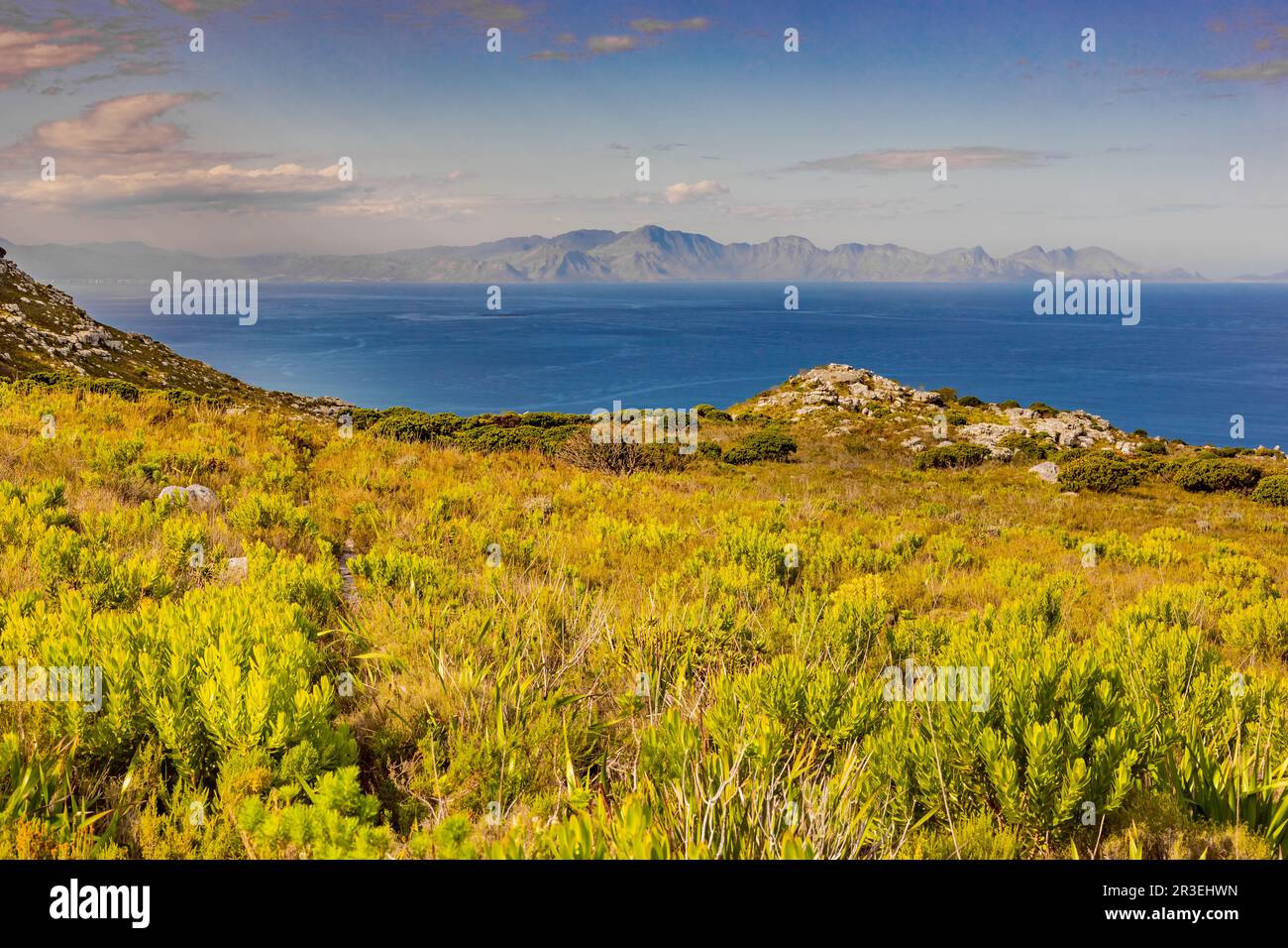 Coastal mountain landscape with fynbos flora in Cape Town Stock Photo ...