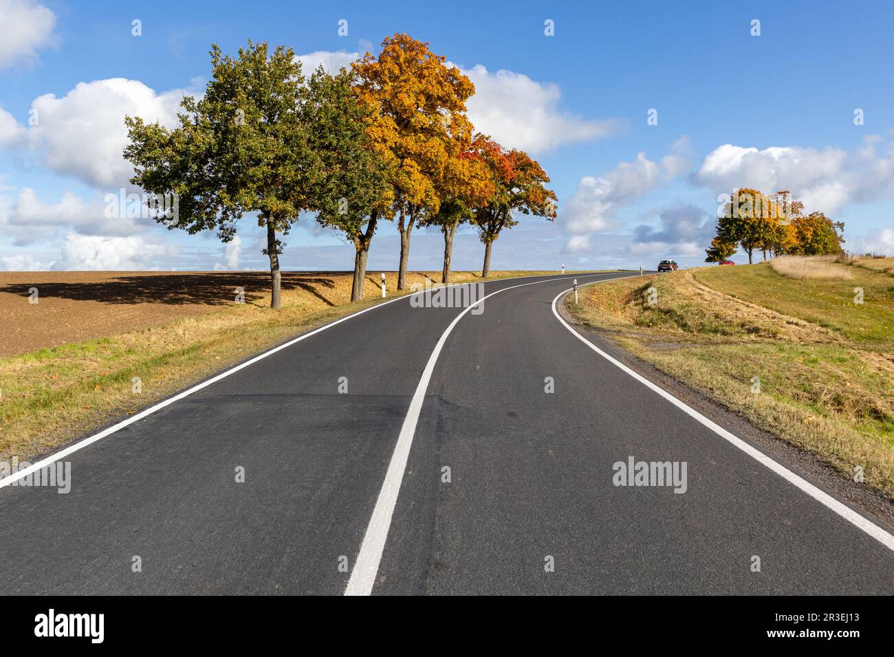 Colored deciduous trees on the country road Stock Photo - Alamy