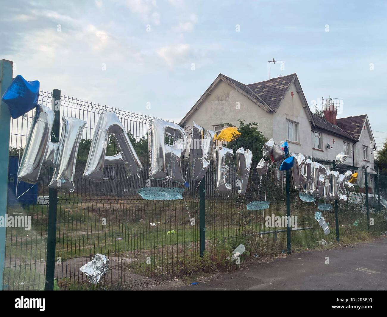 Ely riot cardiff hi-res stock photography and images - Alamy