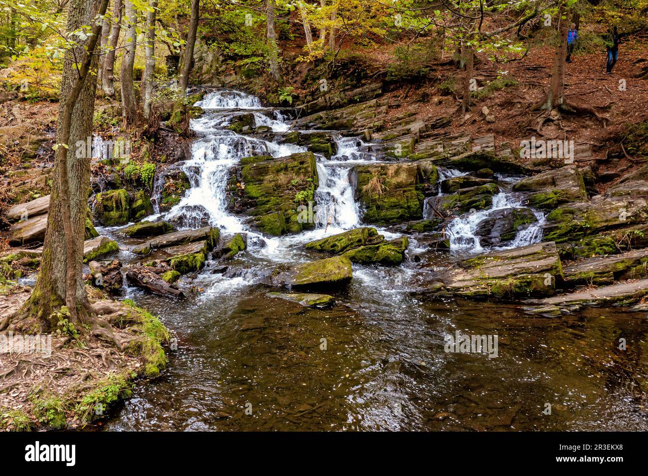 The Selke valley in autumn Selke waterfall resin Stock Photo - Alamy