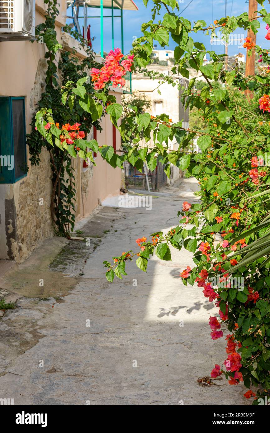 Impressions from the greek village Pitsidia on Crete Stock Photo - Alamy