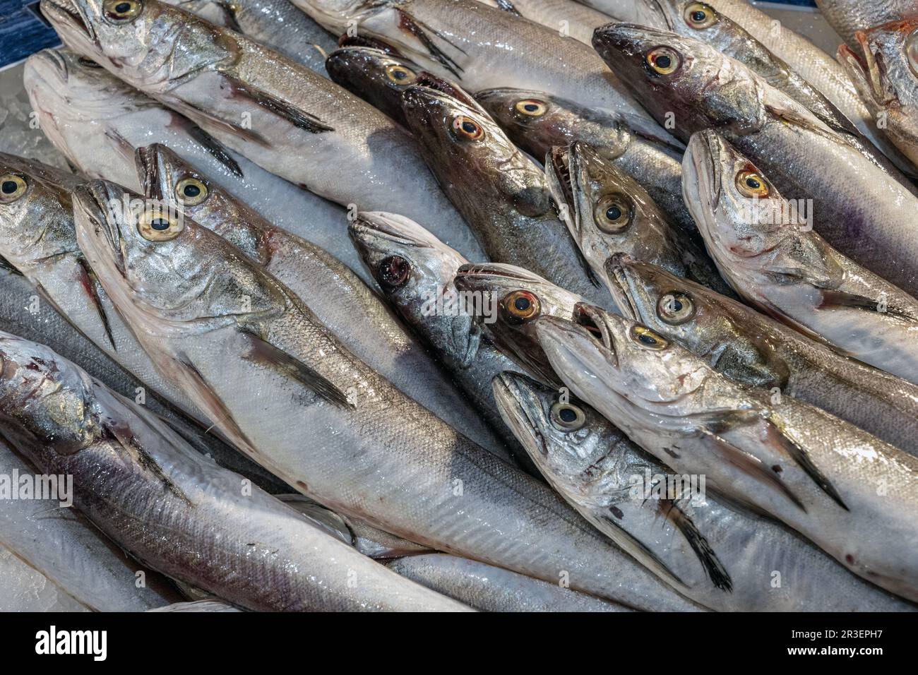 Fresh fish in portugal hi-res stock photography and images - Alamy