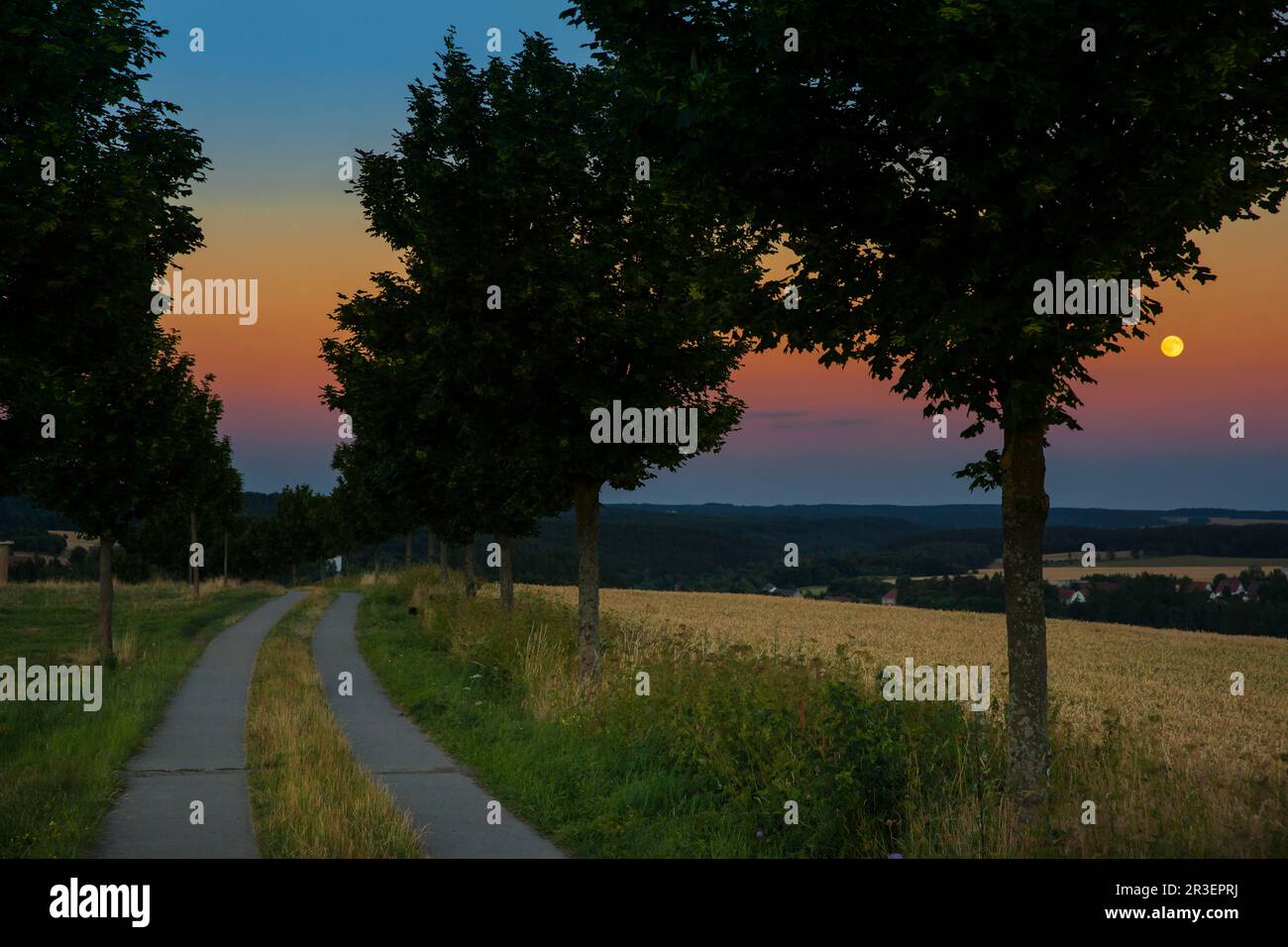 Field path with trees in sunset Stock Photo - Alamy