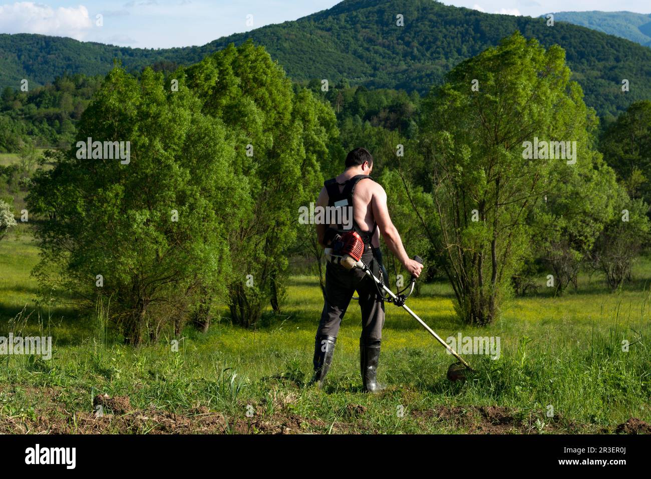 Hand trimmer hi-res stock photography and images - Alamy