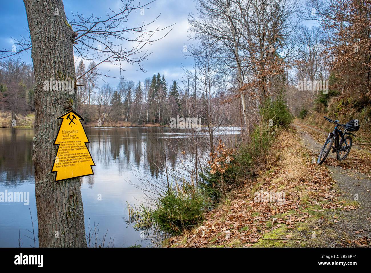 Old mining lake Selketal Elbinger valley pond Stock Photo - Alamy