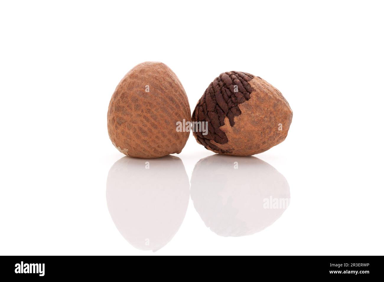 Areca nut isolated on white background Stock Photo - Alamy