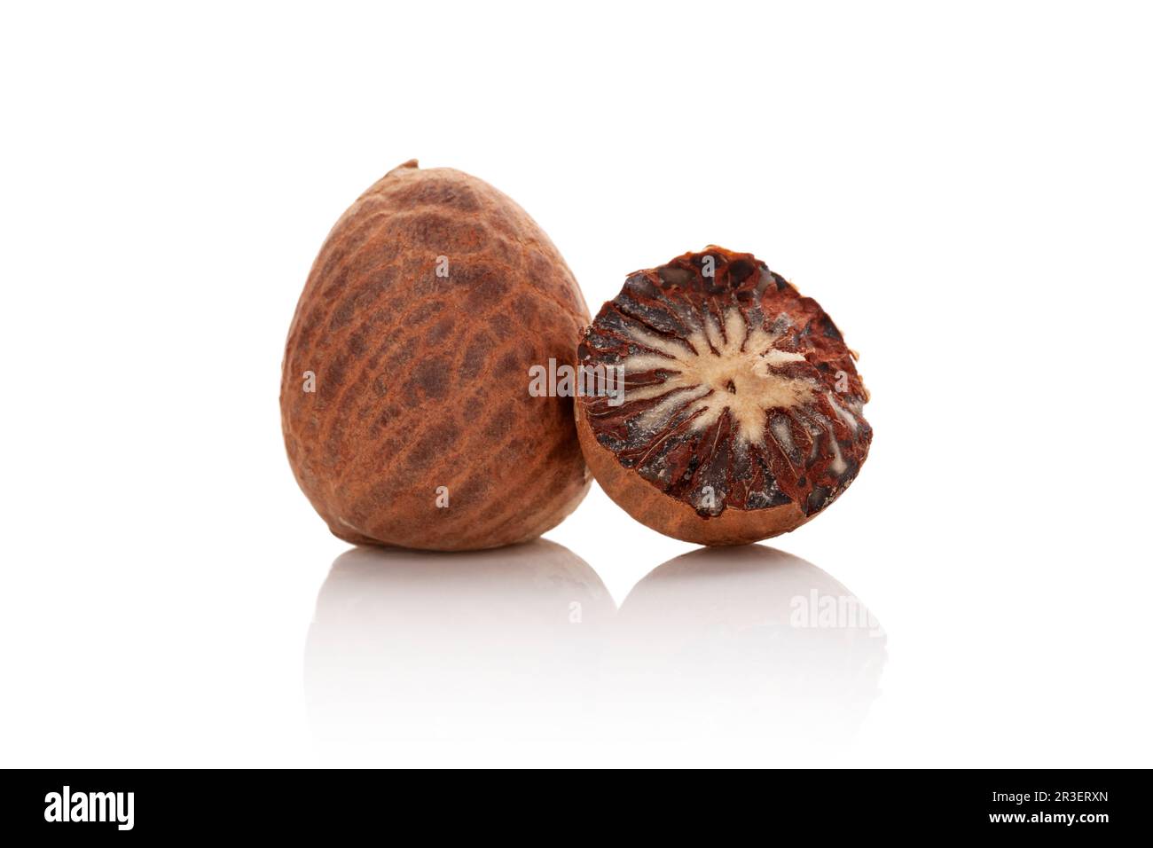 Betel nut isolated on white background Stock Photo - Alamy