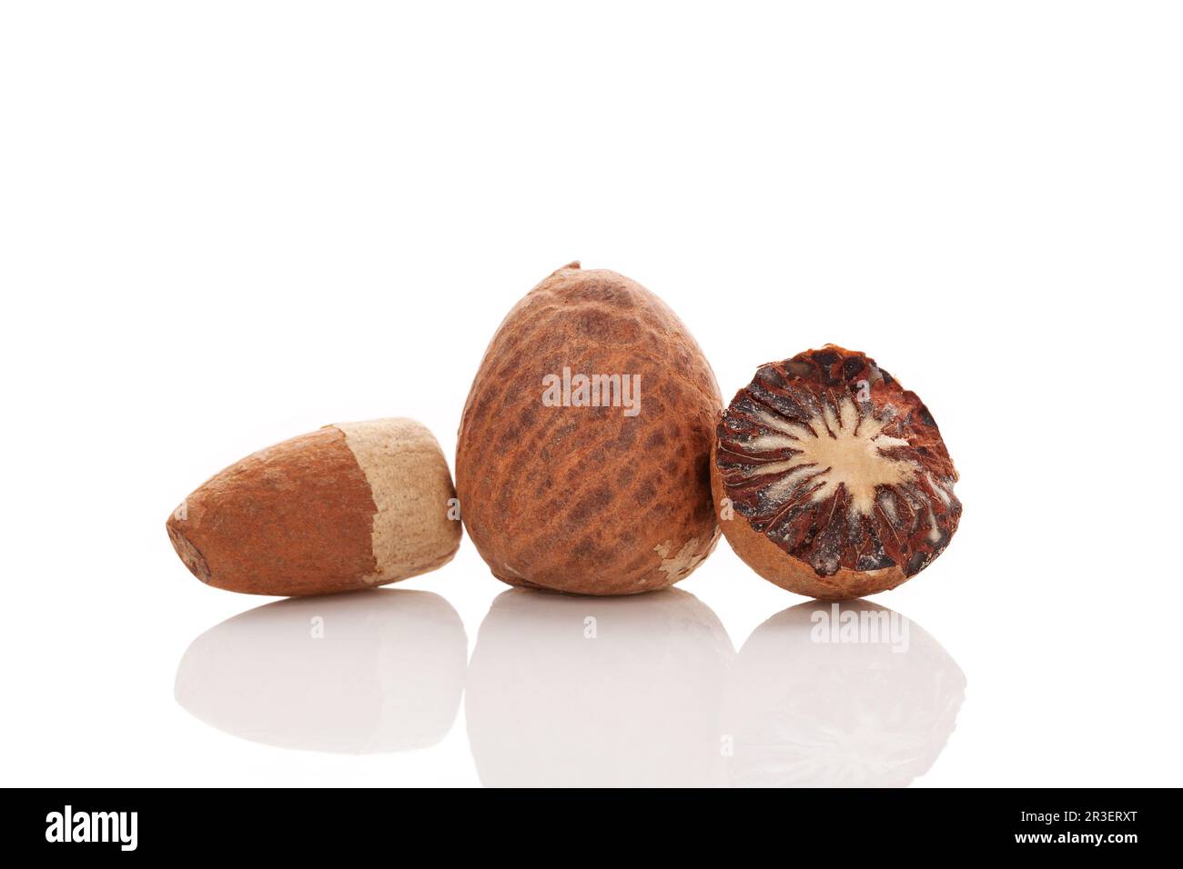 Betel nut isolated on white background Stock Photo - Alamy