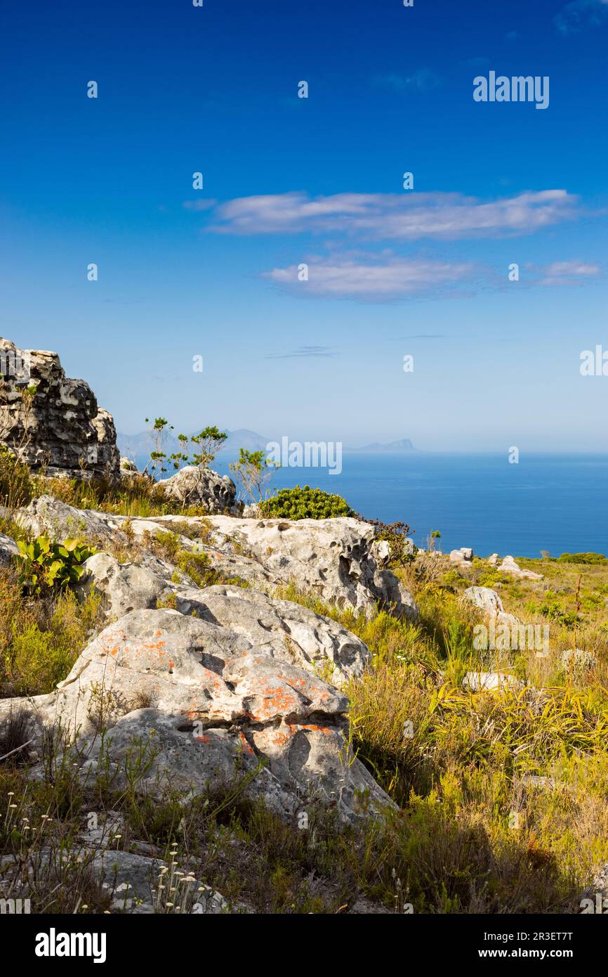 Coastal mountain landscape with fynbos flora in Cape Town Stock Photo ...