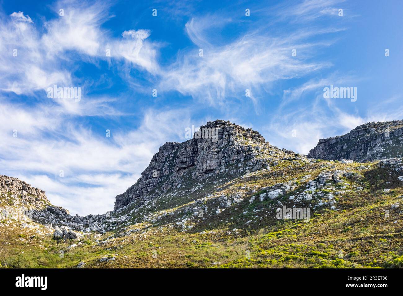 Rugged mountain landscape with fynbos flora in Cape Town Stock Photo ...