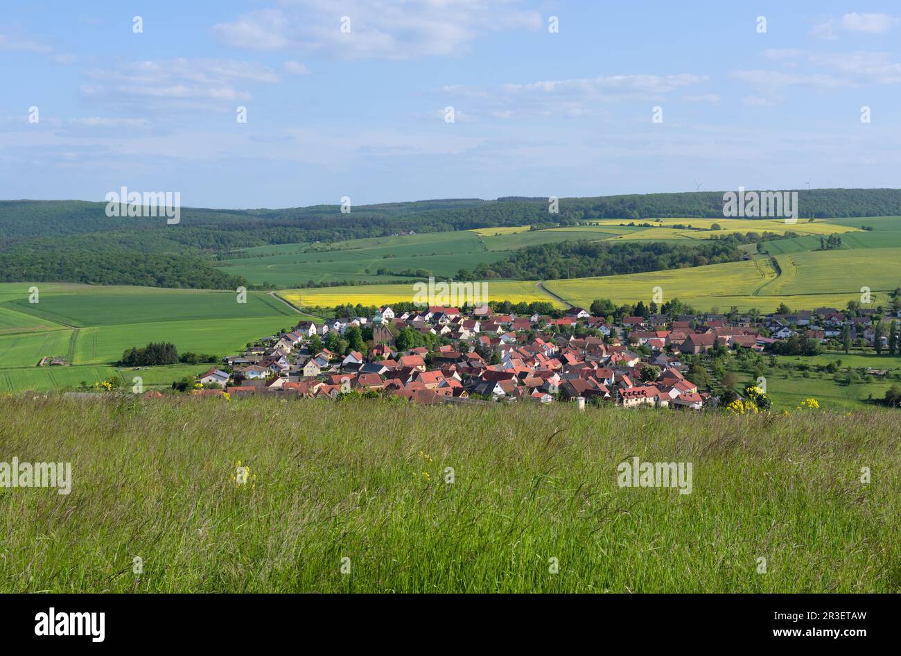 Historic german village in Hessen. Cultivated landscape and wineyards ...