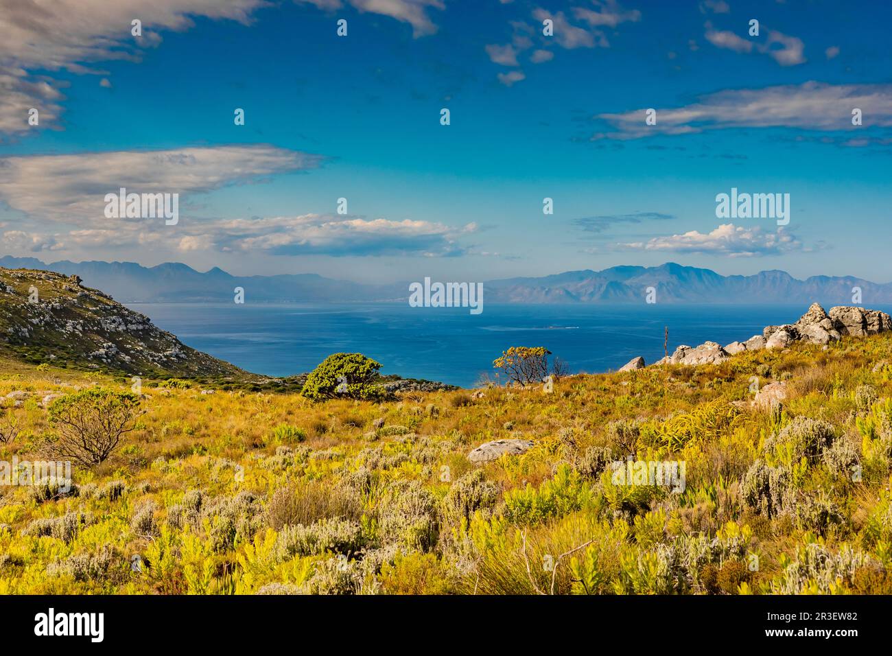 Coastal mountain landscape with fynbos flora in Cape Town Stock Photo ...