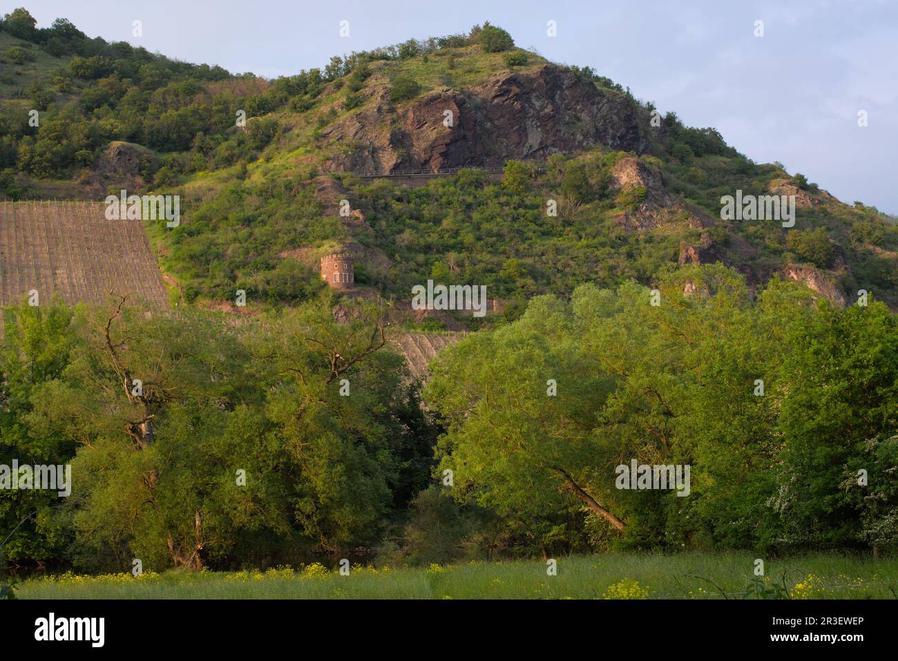 Vineyard watchtower hi-res stock photography and images - Alamy