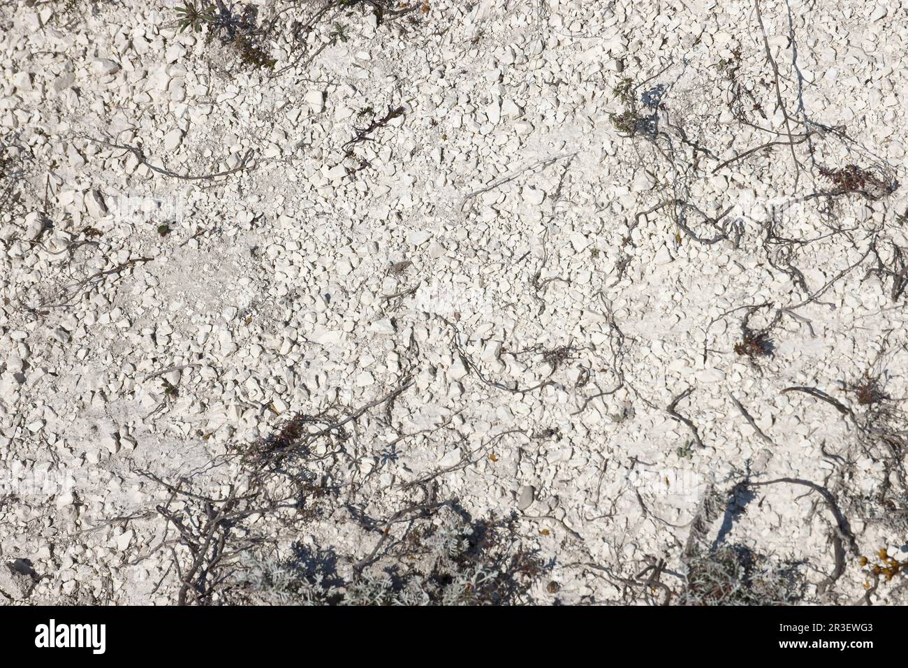 Chalk mining limestone quarry. Opencast mining chalk surface with dry ...