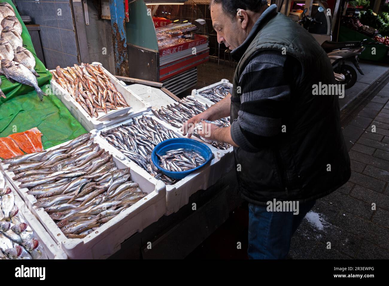 A customer chooses fish at the Uskudar Fishermen's Market, Istanbul ...
