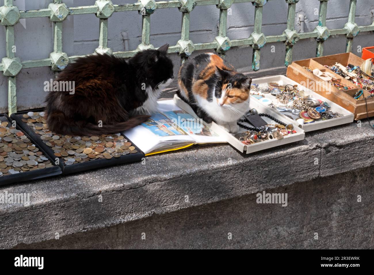 Two cats sitting on the wares of a sidewalk merchant in Kadikoye ...