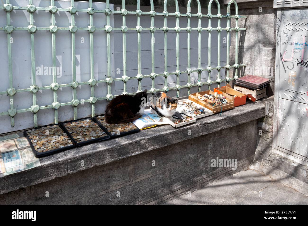 Cat merchant hi-res stock photography and images - Alamy