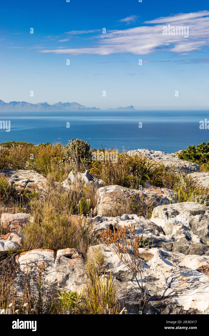 Coastal mountain landscape with fynbos flora in Cape Town Stock Photo ...