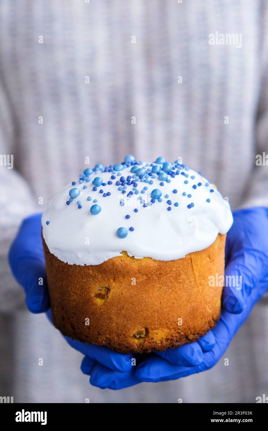 Hands in blue gloves hold Easter cake with white topping and blue ...
