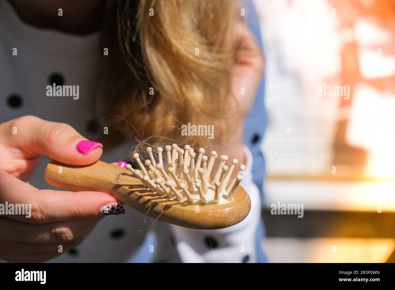 Hair loss on the comb, massage wooden brush with a clump of hair ...