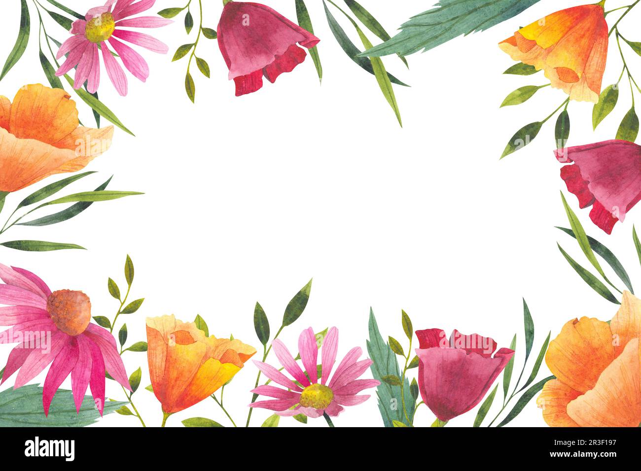 Summer wildflower frame, watercolor illustration. Floral border with ...