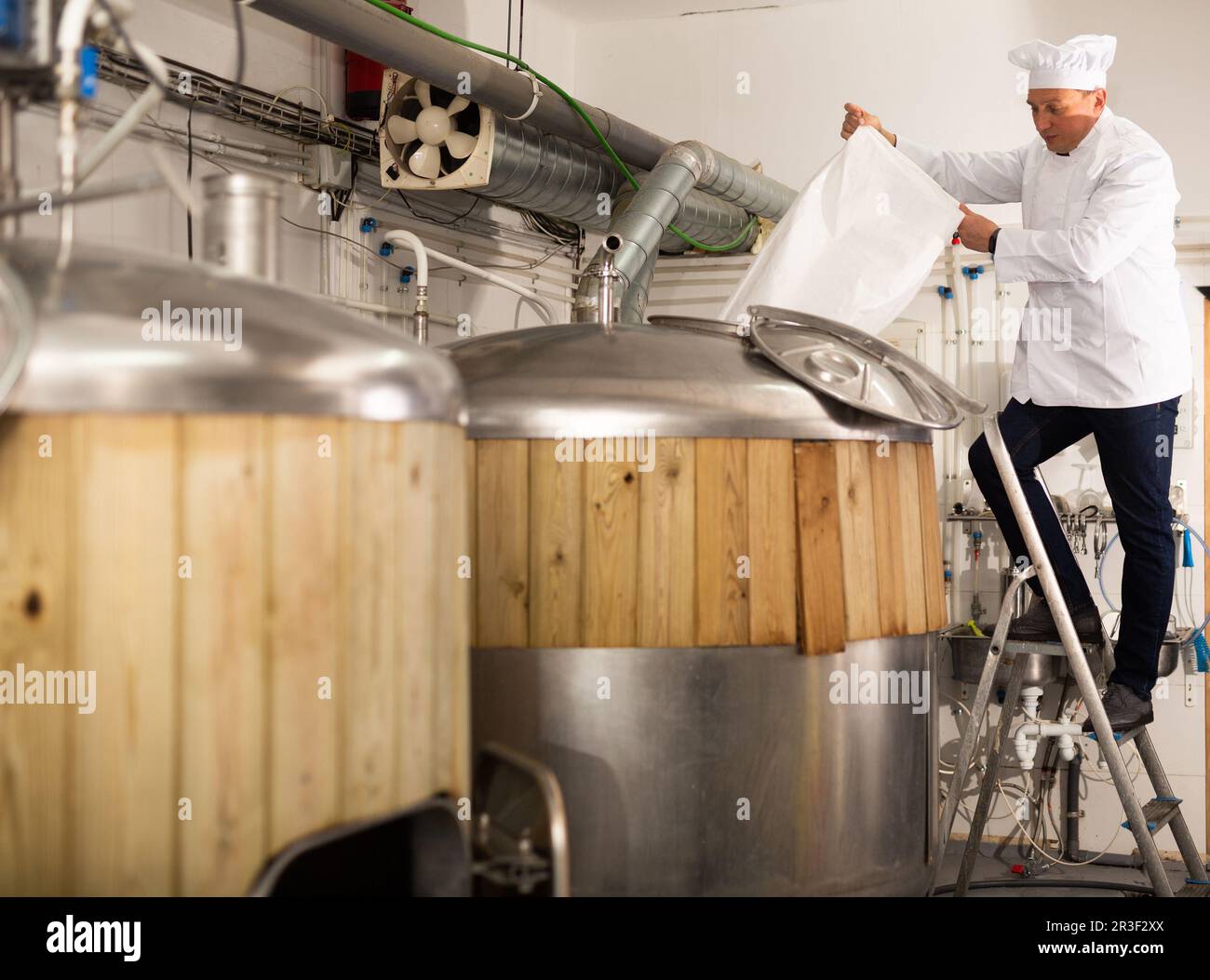Brewer pouring malted grain from bag into fermenter to produce beer ...