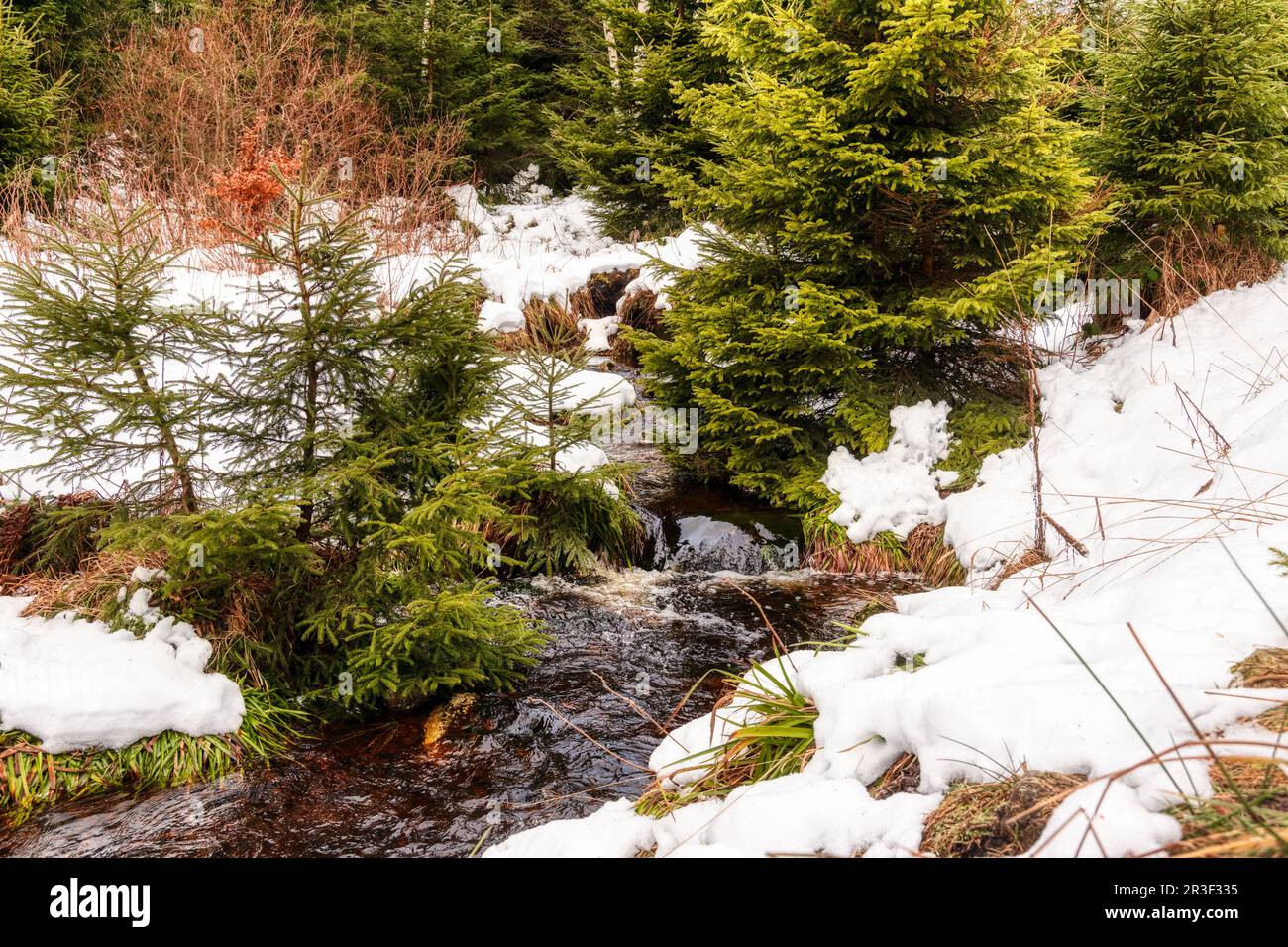 Wald und kleiner bach hi-res stock photography and images - Alamy