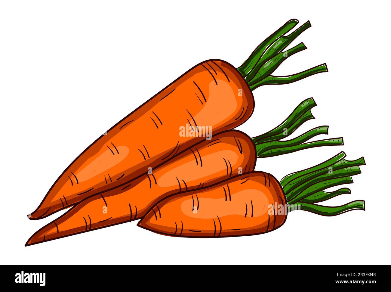 Carrots Clipart