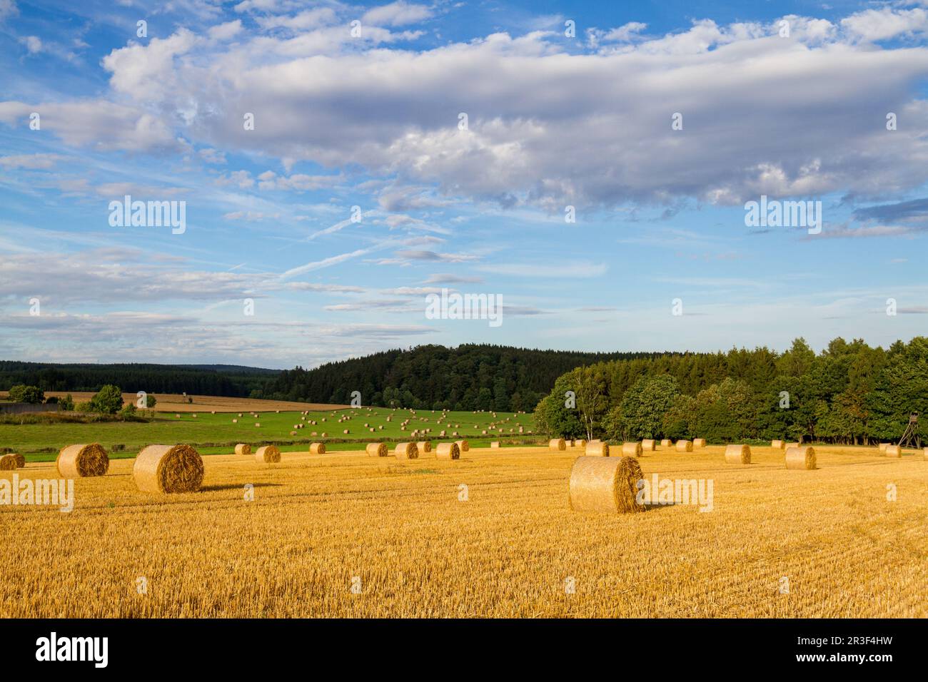 Straw bale straw roll field Stock Photo - Alamy