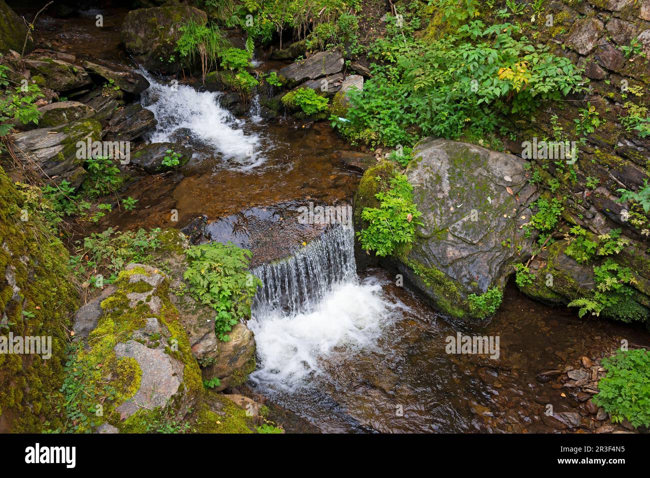 Bach at the Turnerova Chata Stock Photo - Alamy