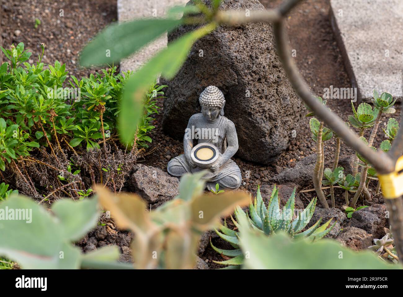 Little buddha figure hi-res stock photography and images - Alamy