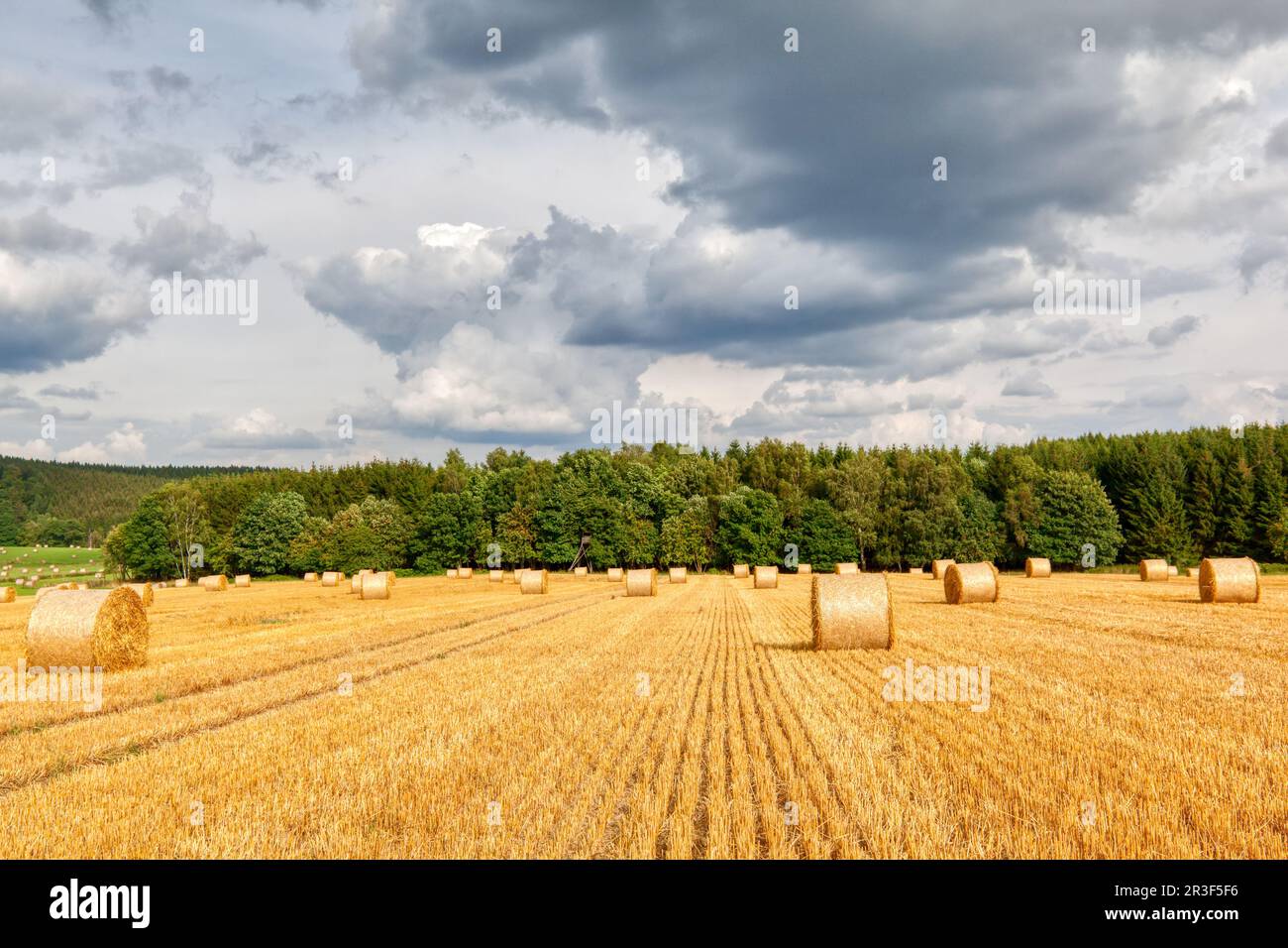 Field straw rolls hi-res stock photography and images - Alamy