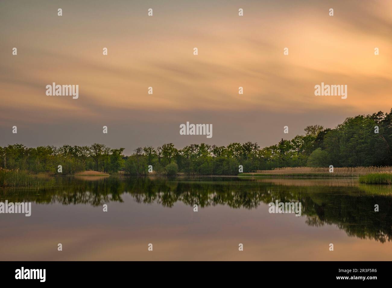 Biosphere reserve Oberlausitzer heath and pond landscape/pond area MÃ ...