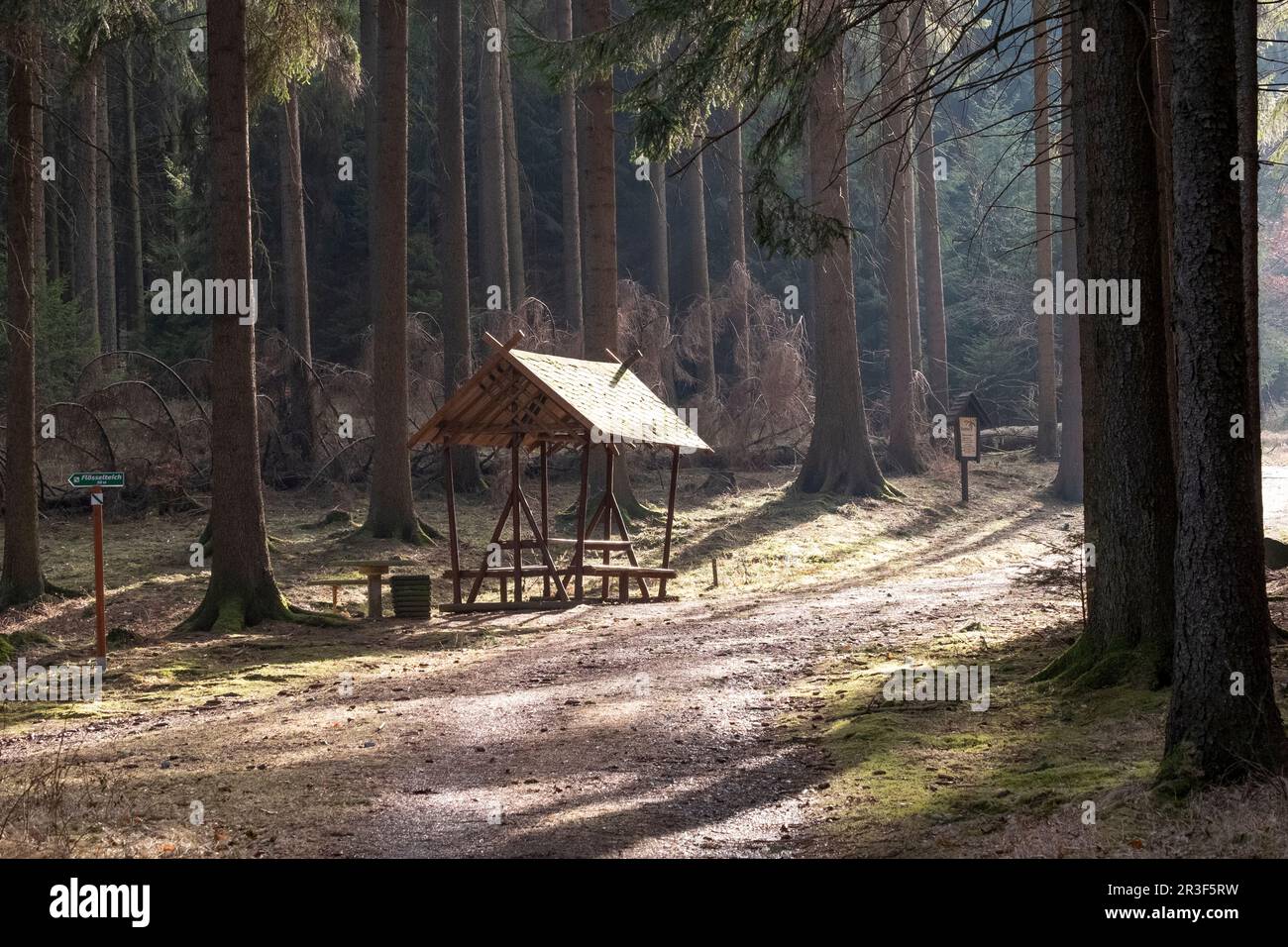 Hiking in the Upper Lusatia rest area Stock Photo - Alamy