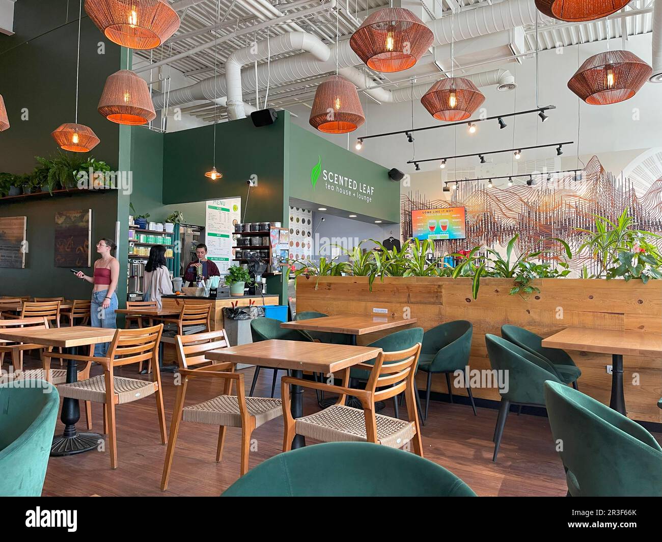 Scented leaf hi-res stock photography and images - Alamy