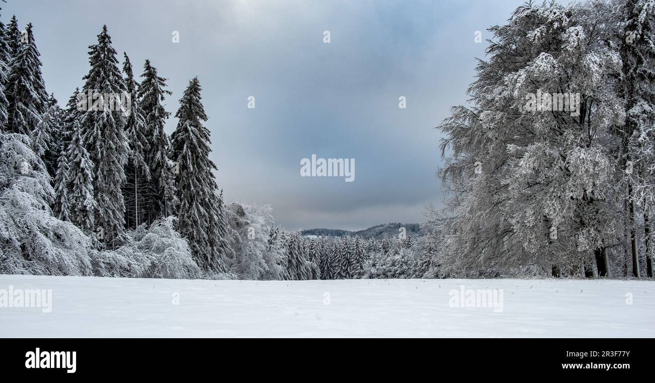 Hiking lusatia hi-res stock photography and images - Alamy