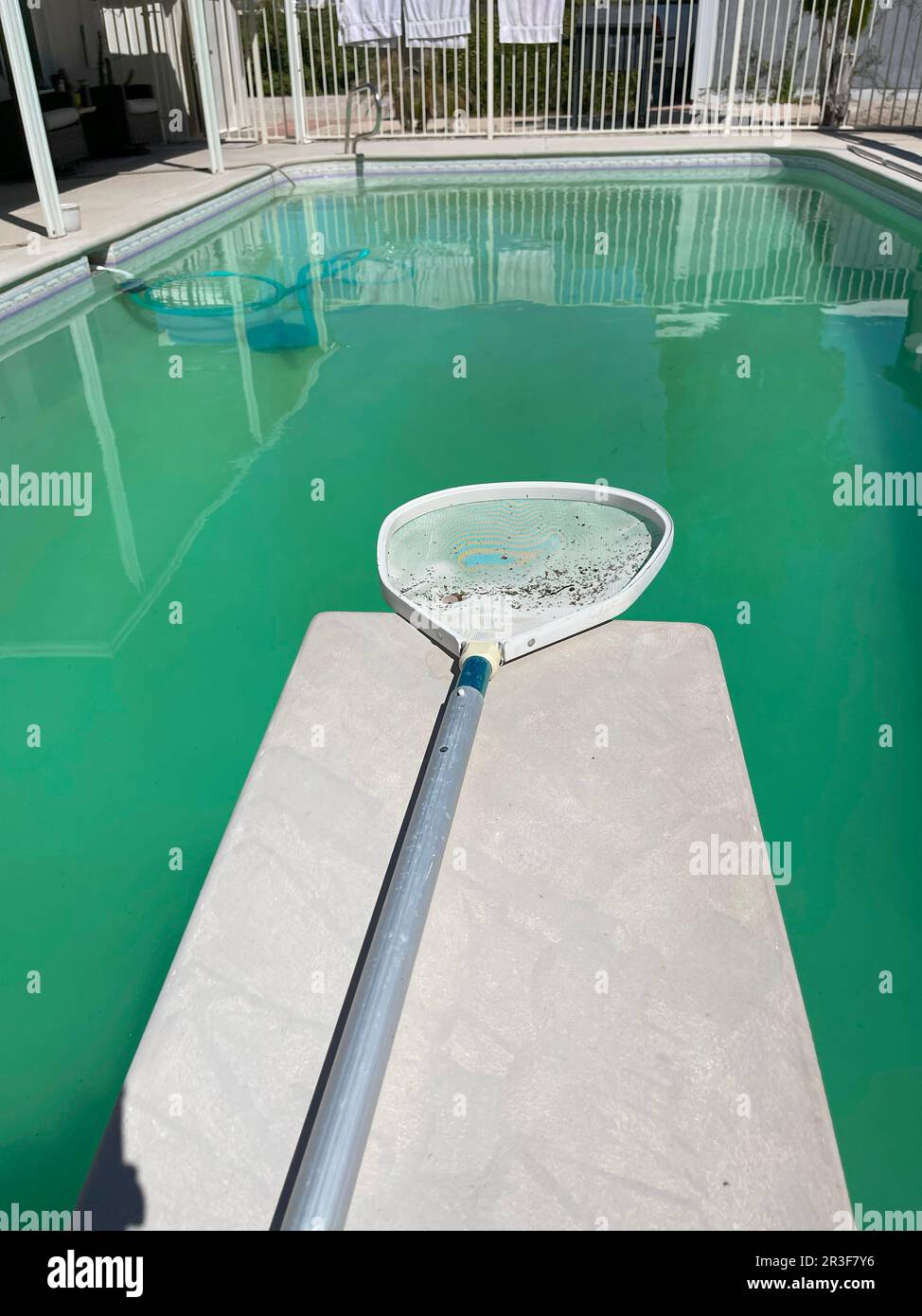 Dirty green water in a swimming pool Stock Photo - Alamy