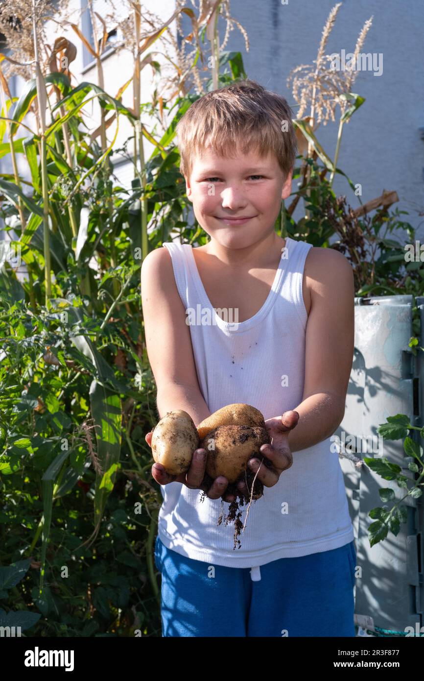 Boy with potatoes Stock Photo - Alamy
