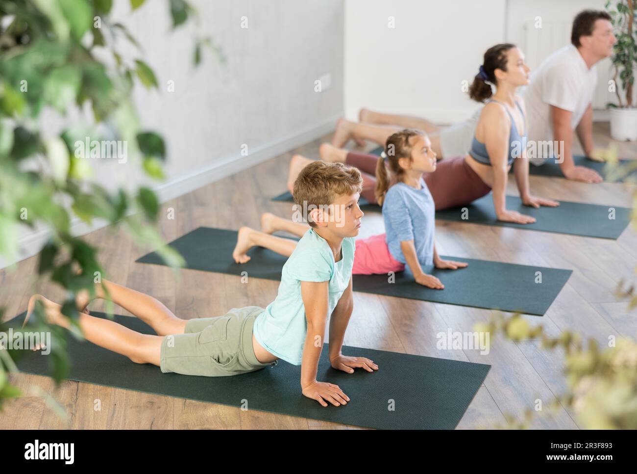 Family with two children doing yoga in studio Stock Photo - Alamy
