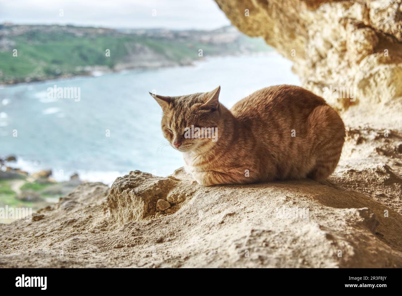 Tal-Mixta Cave, L-ghar ta'Mixta, Ramla Bay, Gozo, Malta Stock Photo - Alamy