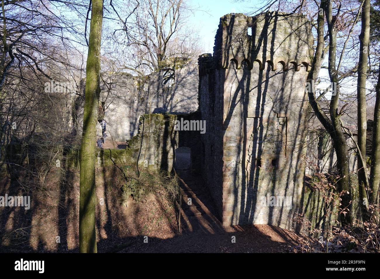 Ruin Rodenstein in the Odenwald Stock Photo - Alamy