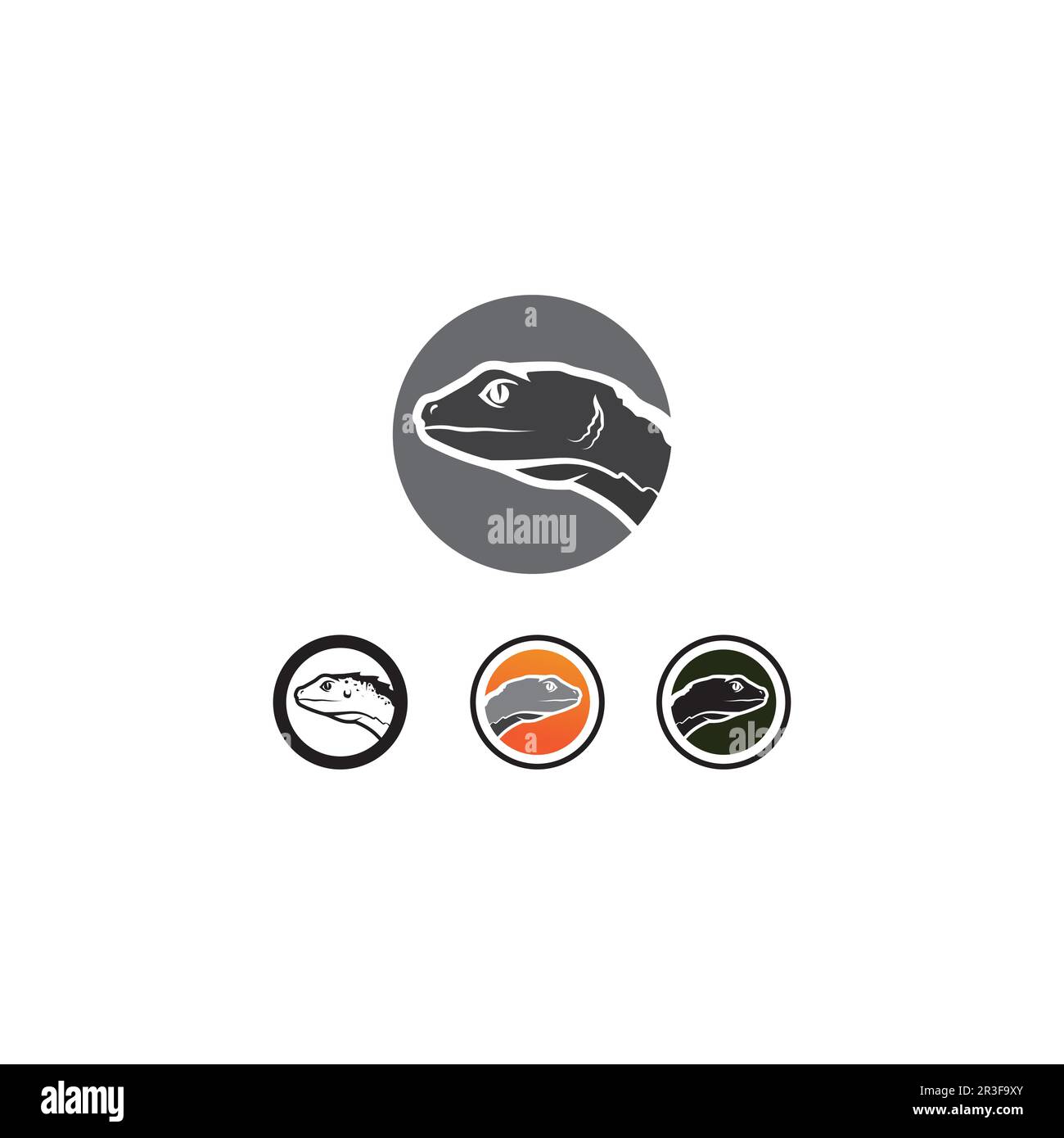 animal vector lizard salamander gecko crocodile and reptiles design ...
