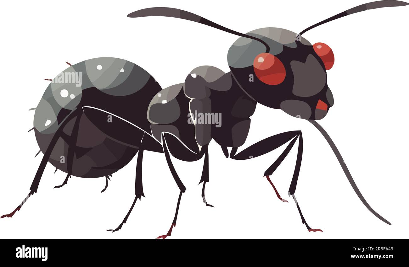 Small ant isolated on white background Stock Vector Image & Art - Alamy