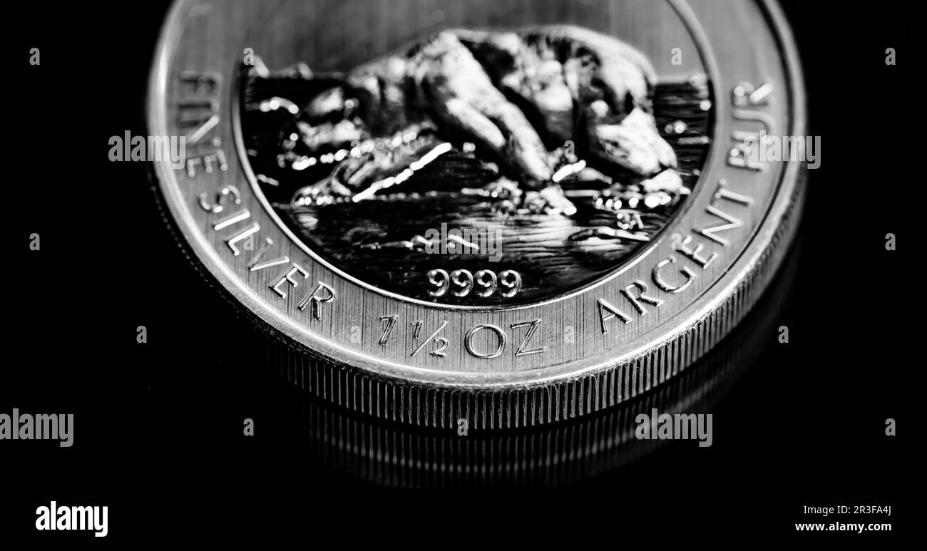 Close up of Silver Bullion Coin on a black mirror background Stock ...