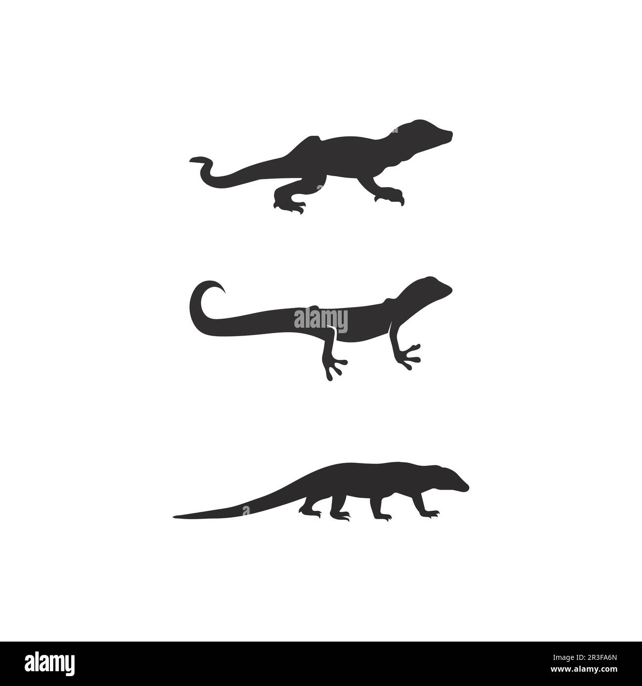 animal vector lizard salamander gecko crocodile and reptiles design ...