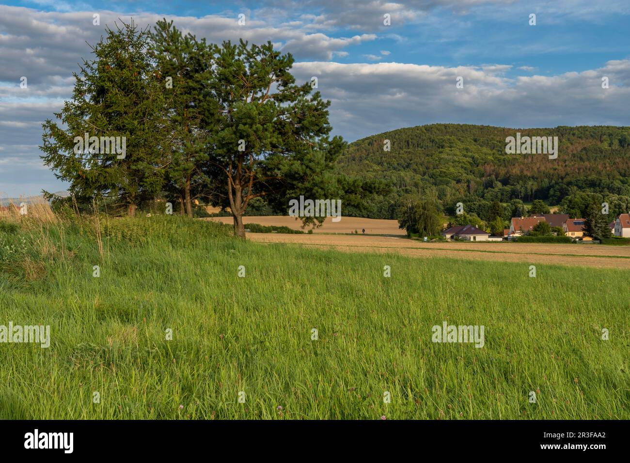 Views from the hiking trail to Grossen Picho- Oberlausitz Stock Photo ...