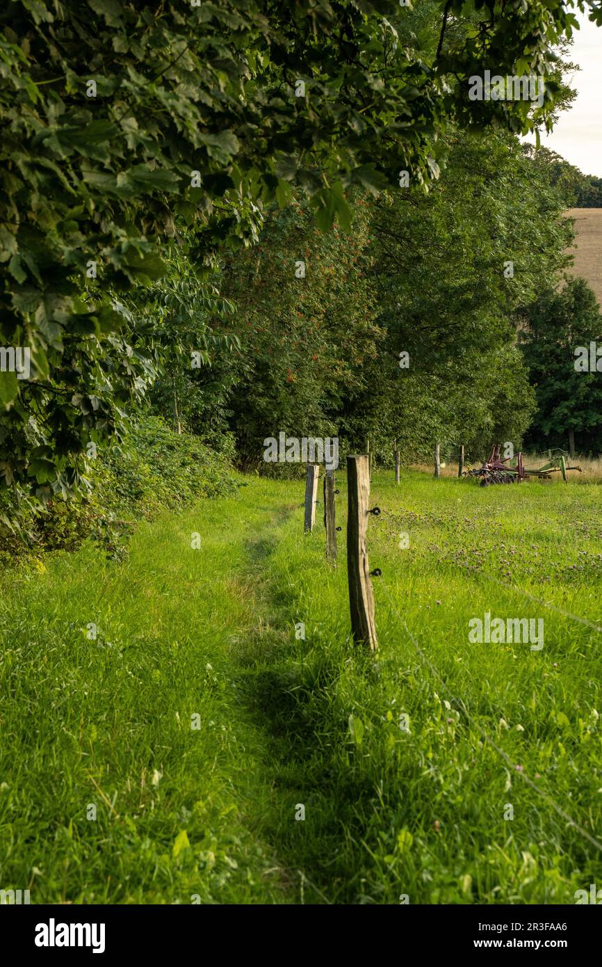 Landscape in the Upper Lusatia area of Weifa Stock Photo - Alamy