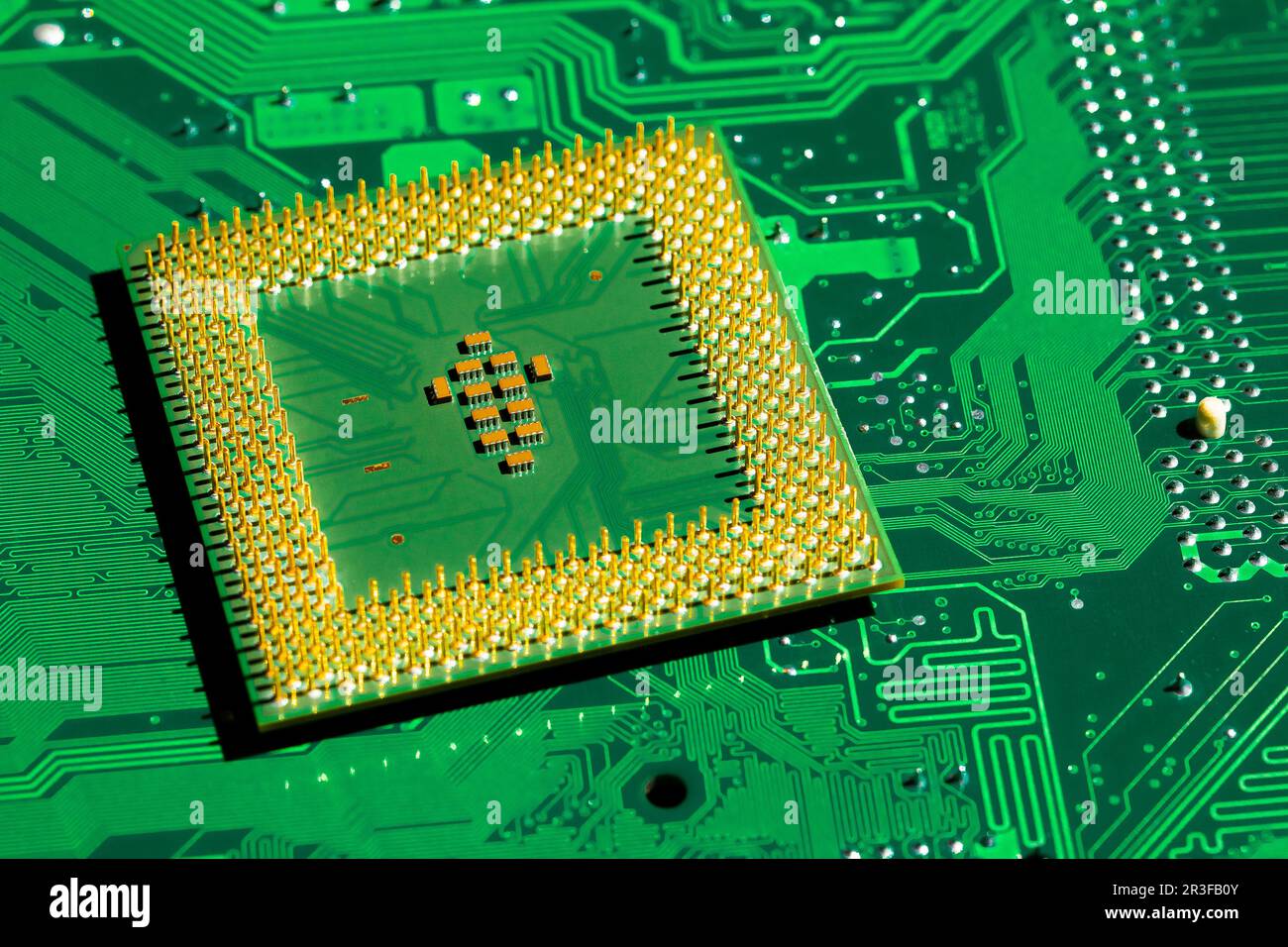 Chipknappheit hi-res stock photography and images - Alamy