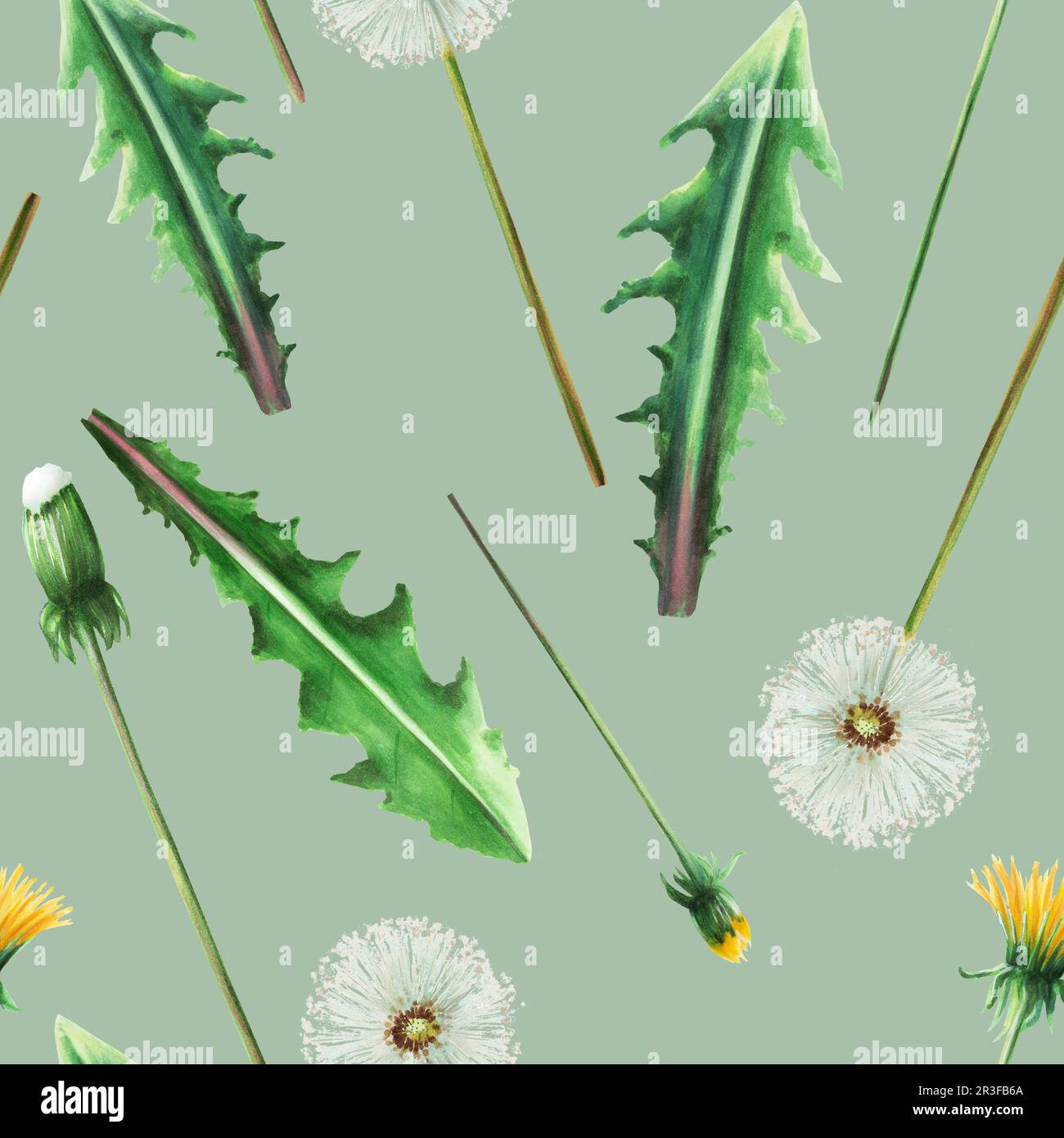 Contrived Clipart Flower